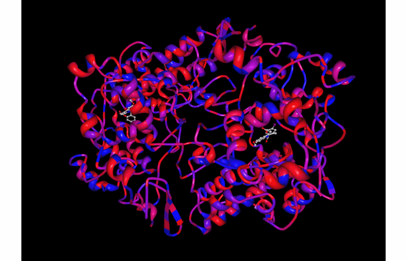 NSAIDs: Are They All the Same? – Clinical Correlations